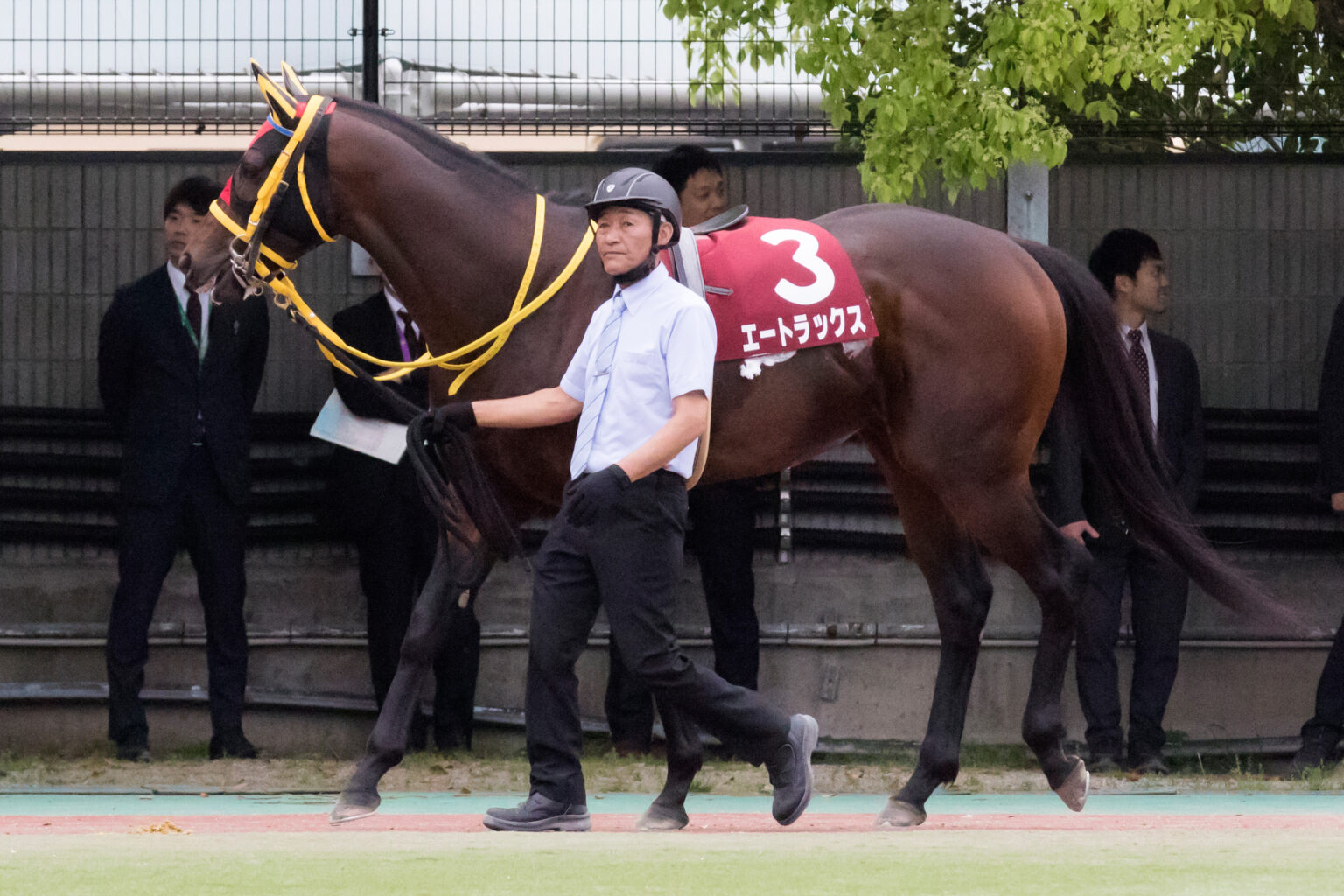 2024 兵庫チャンピオンシップ(Jpn2) レポート - Charge Advanced