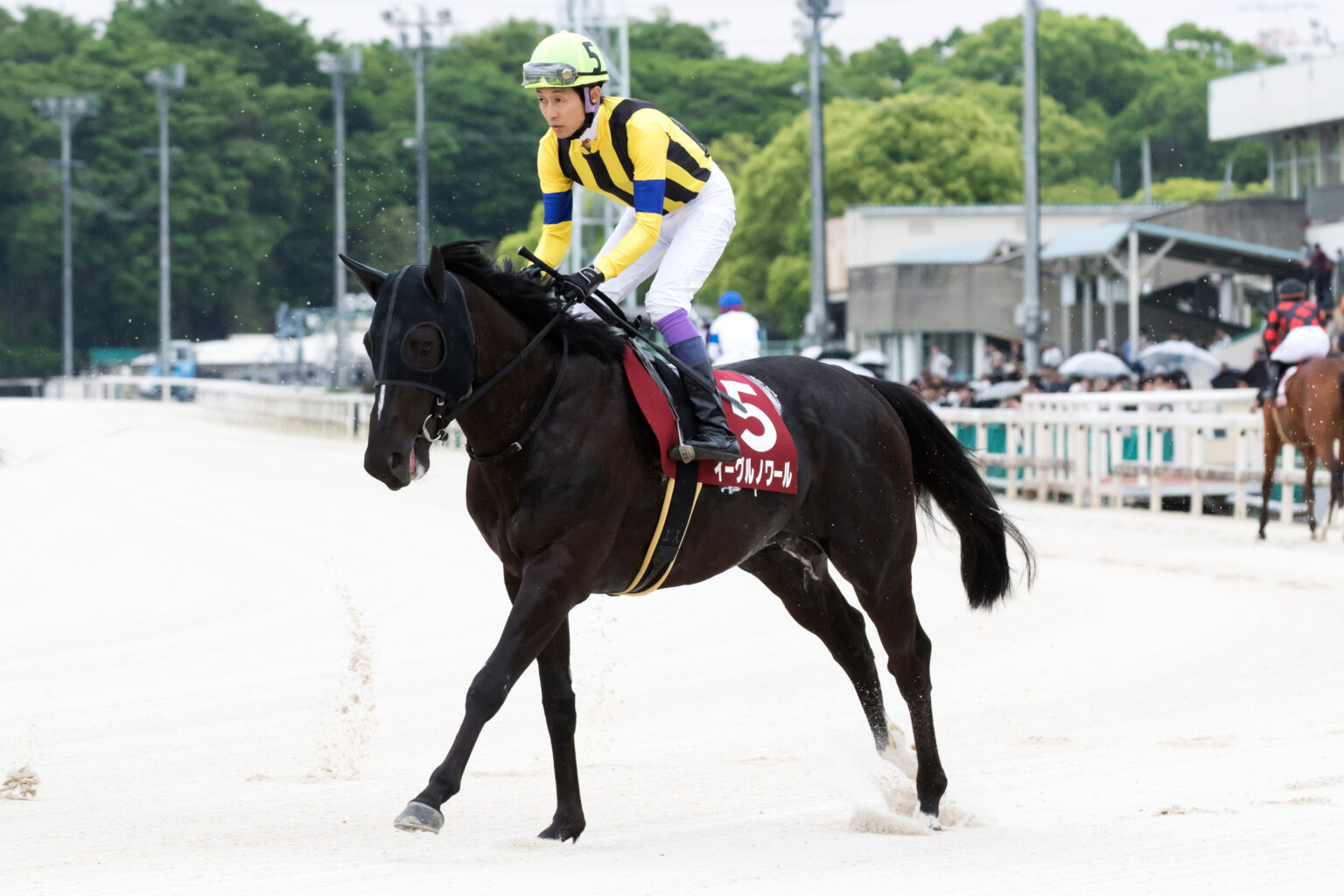 2024 兵庫チャンピオンシップ(Jpn2) レポート - Charge Advanced