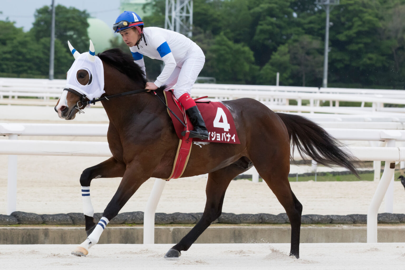 2024 兵庫チャンピオンシップ(Jpn2) レポート - Charge Advanced