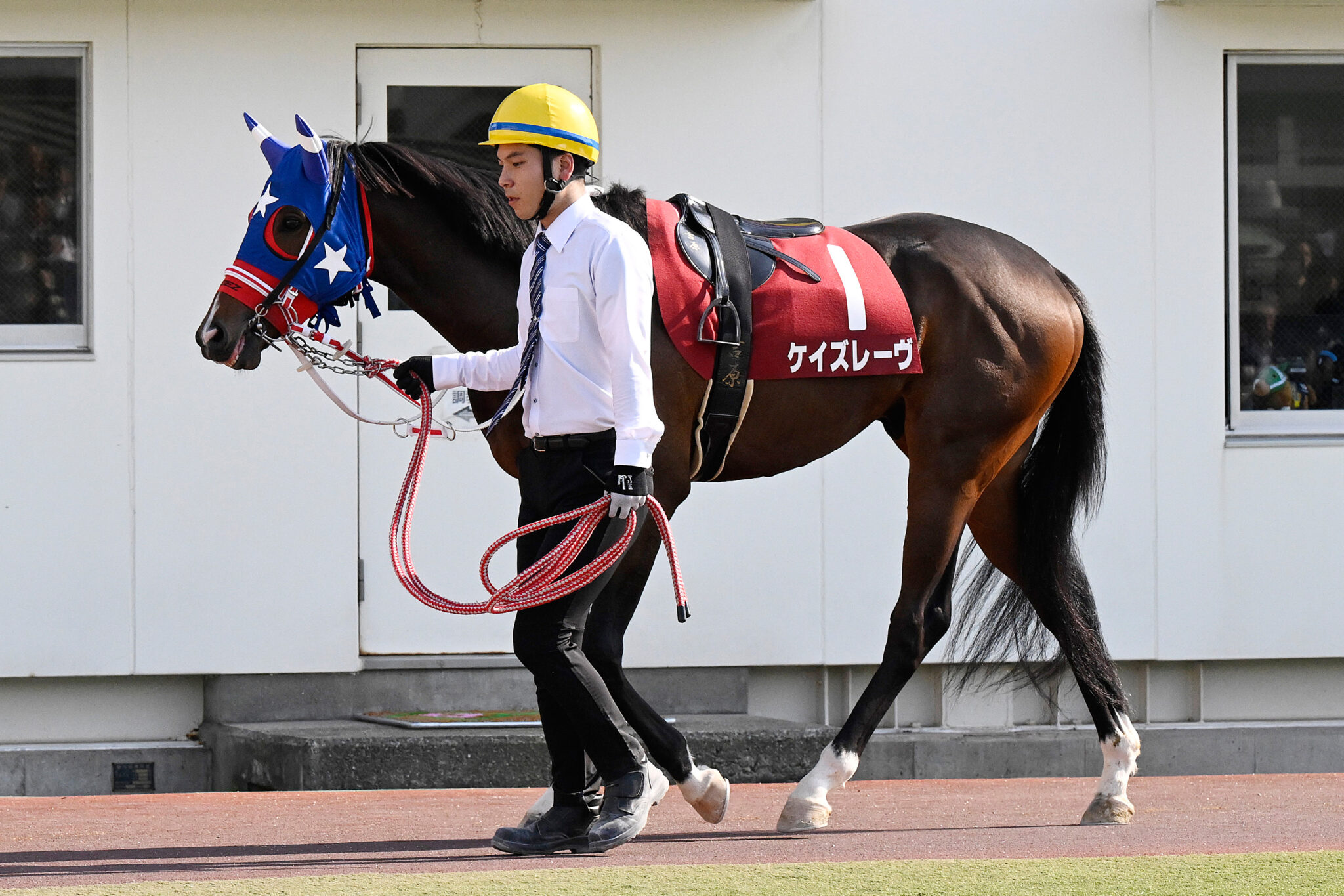 2025 兵庫チャンピオンシップ(Jpn2) レポート - Charge Advanced